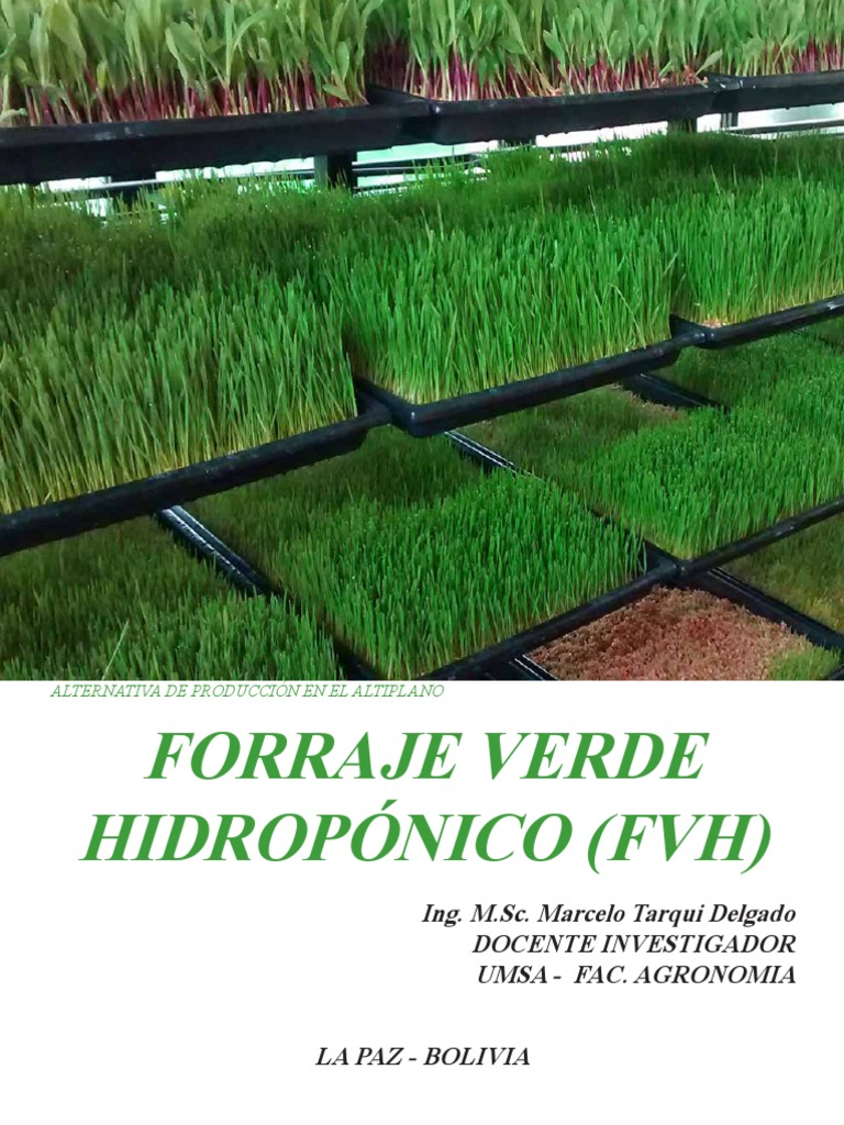 Libro FVH PDF | PDF | Hidroponia | Riego