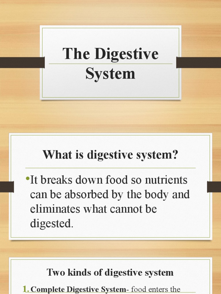 Digestive System Final | PDF | Self-Improvement | Wellness