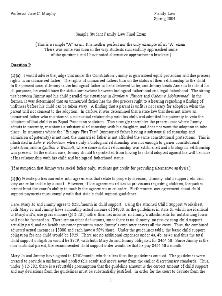 Sample Student Family Law Final Exam Answers | PDF | Child Support ...