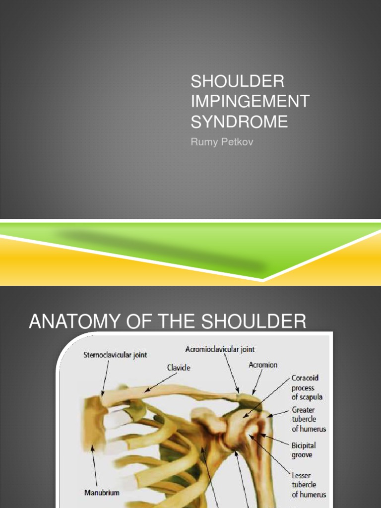 Shoulder Impingement Syndrome: Rumy Petkov | PDF | Shoulder | Limbs ...