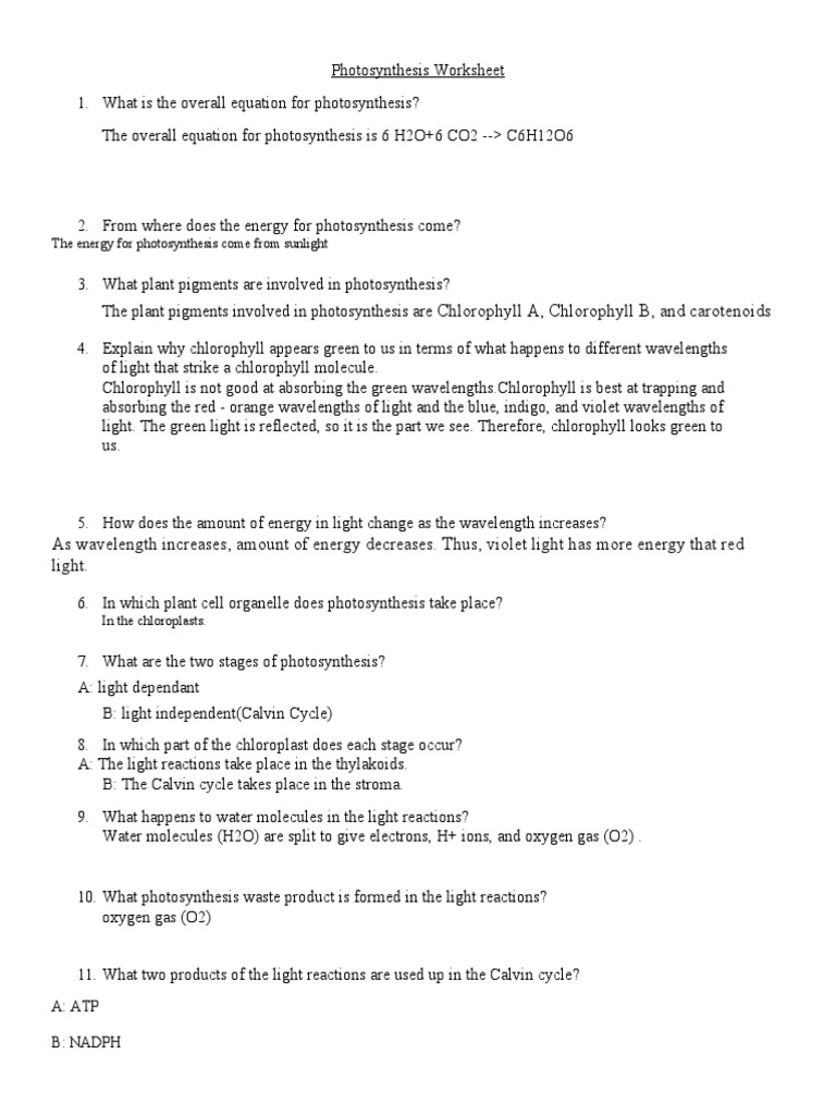 Chlorophyll A, Chlorophyll B, and Carotenoids: The Energy For ...