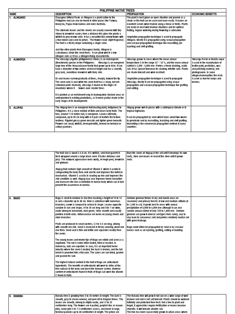 Philippine Native Trees | PDF | Trees | Botany