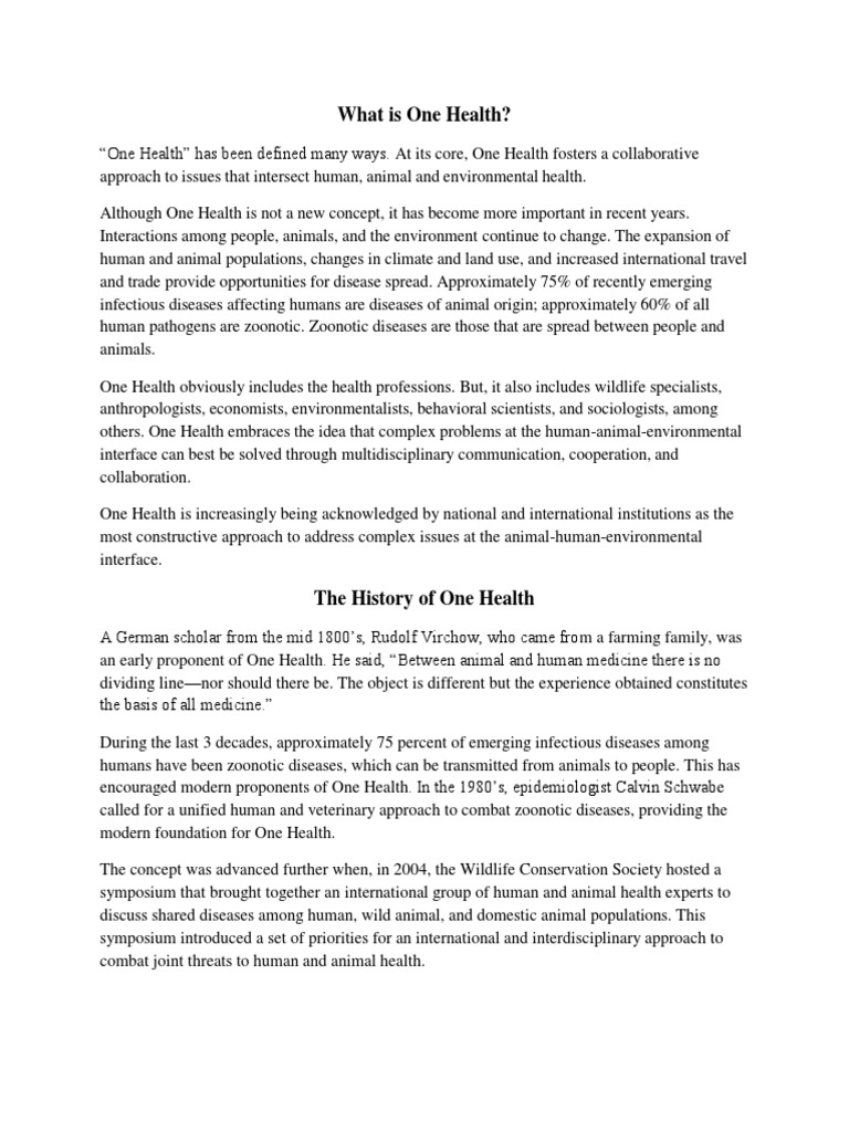 One Health Info Sheet | PDF | Influenza | Animals And Humans