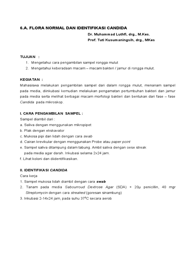 Identifikasi Flora Normal Candida | PDF