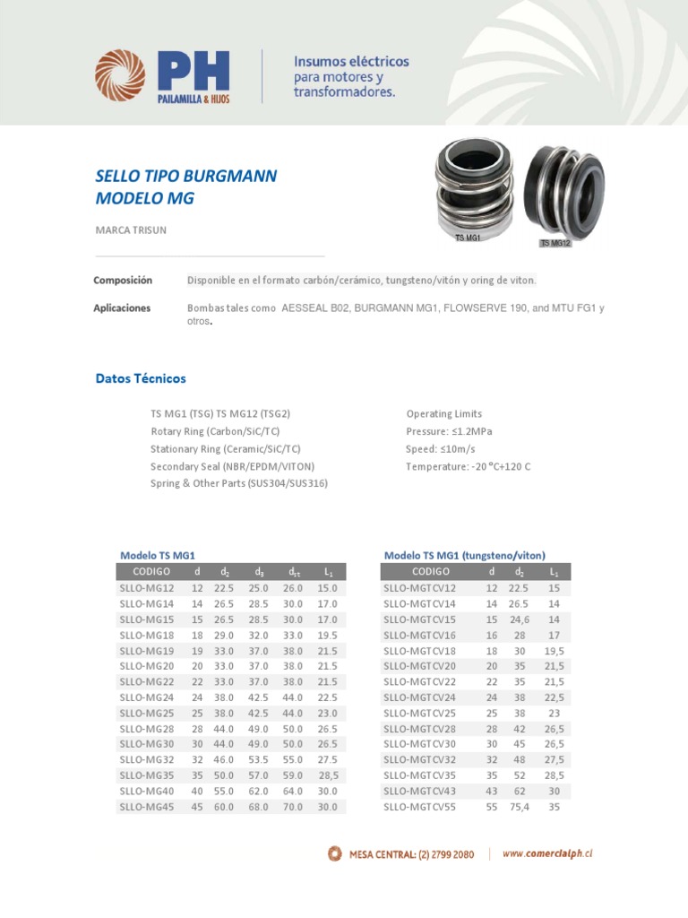 Modelo Tipo Burgmann PDF | PDF | Materials | Chemistry