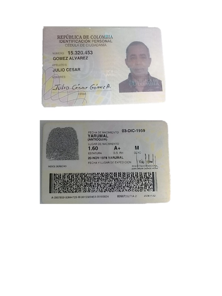 Cedula - Julio Cesar | PDF