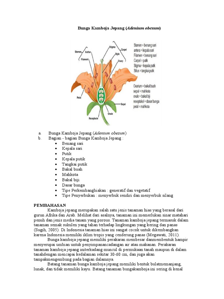 Bunga Kamboja Jepang | PDF
