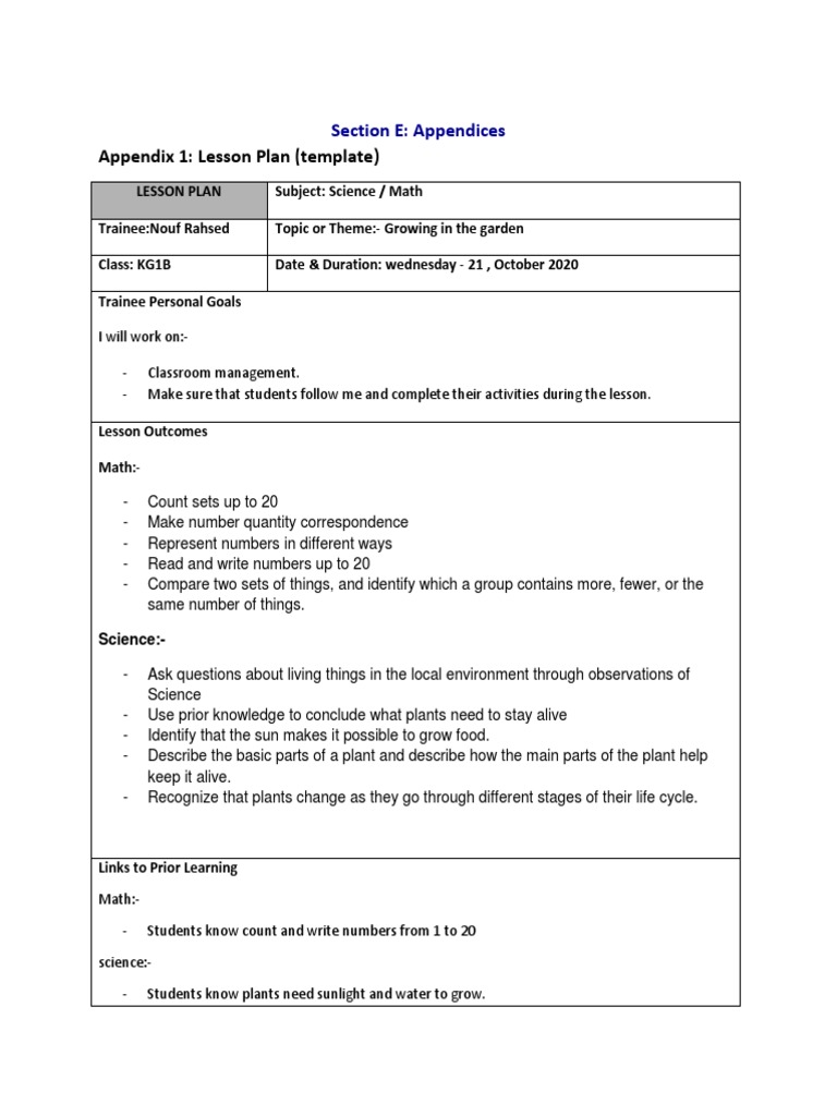 Appendix 1: Lesson Plan (Template) : Section E: Appendices | PDF | Lesson Plan | Teachers
