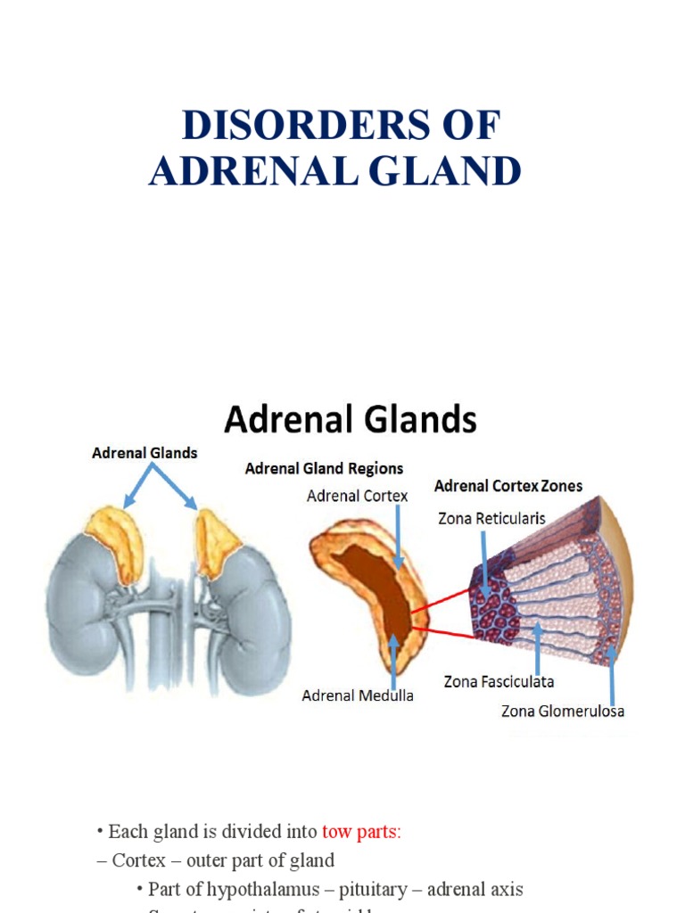 Disorders of Adrenal Gland | PDF | Adrenal Gland | Endocrine System