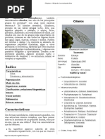 Partes y características del paramecio | PDF | Bioquímica | Química