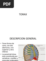 Tórax Inestable | PDF | Tórax | Vértebra
