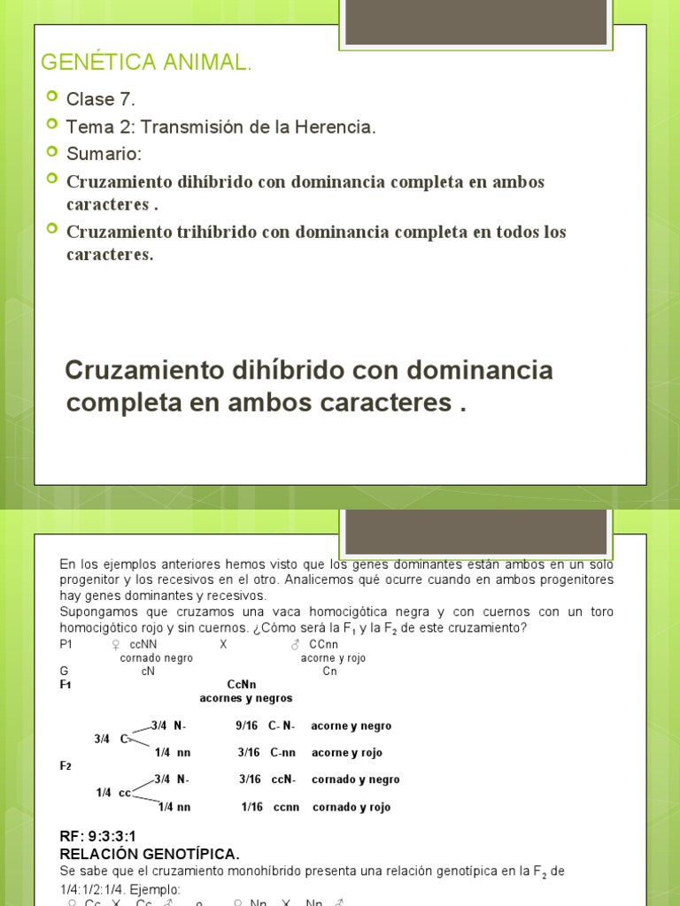 Cruzamientos Dihíbridos y Trihíbridos | PDF | Dominancia (Genética ...