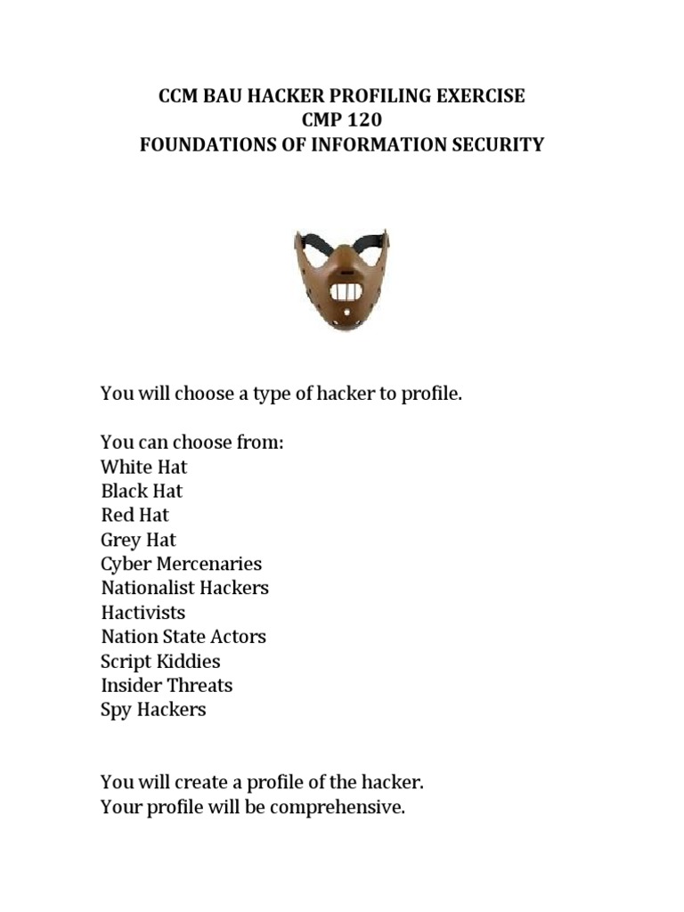 CCM Bau Hacker Profiling Exercise | PDF