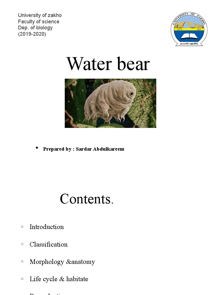Water Bear: University of Zakho Faculty of Science Dep. of Biology ...