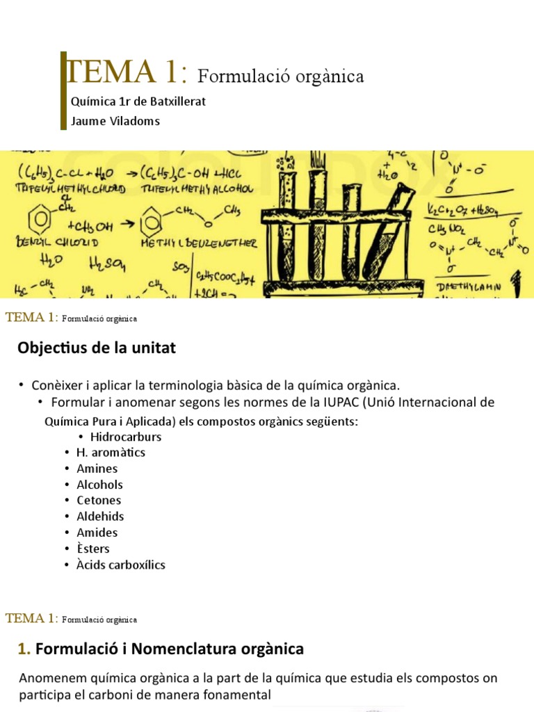Tema 1 Formulacio Organica Apunts de Classe I Exemples Primera Part4 | PDF