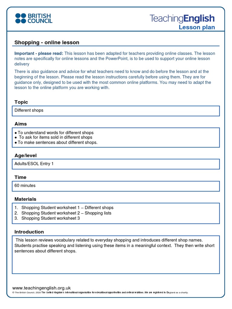 Shopping - Online Lesson | PDF | Educational Technology | Lesson Plan
