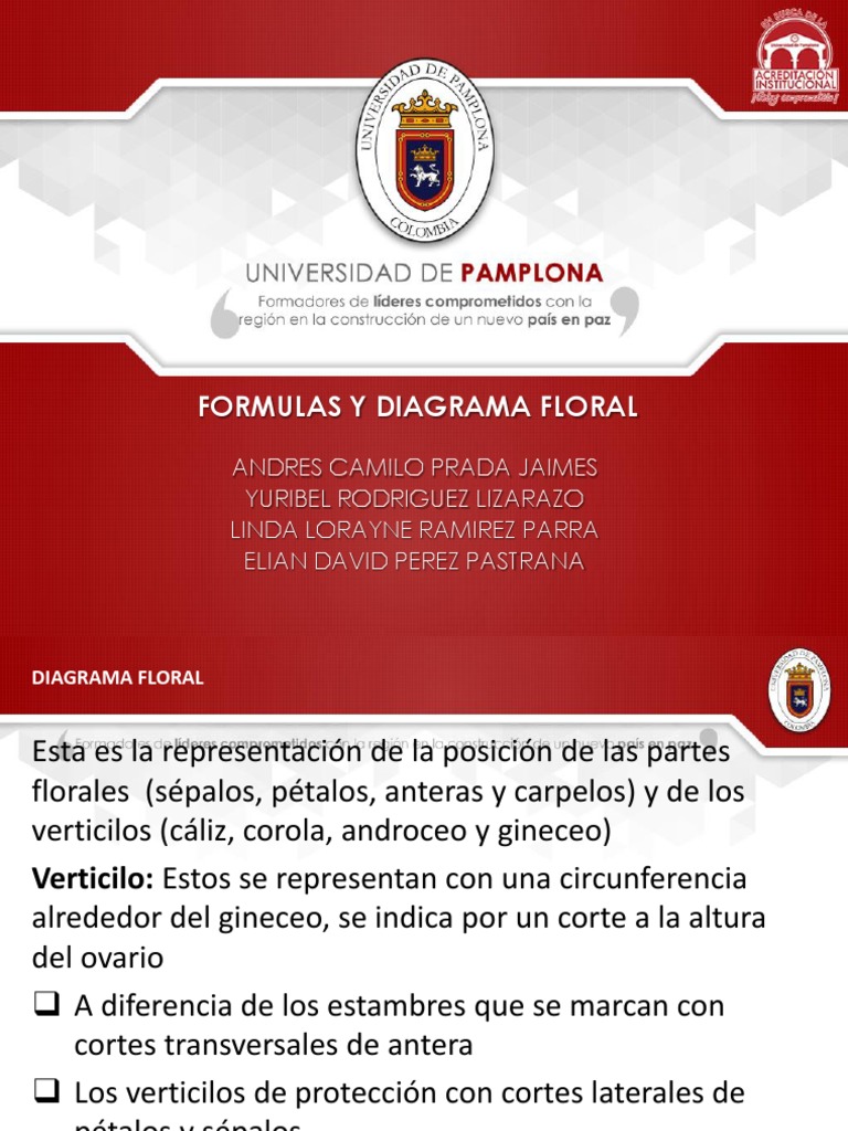 Diagrama Floral y Formulas | PDF | Flores | Morfología Vegetal