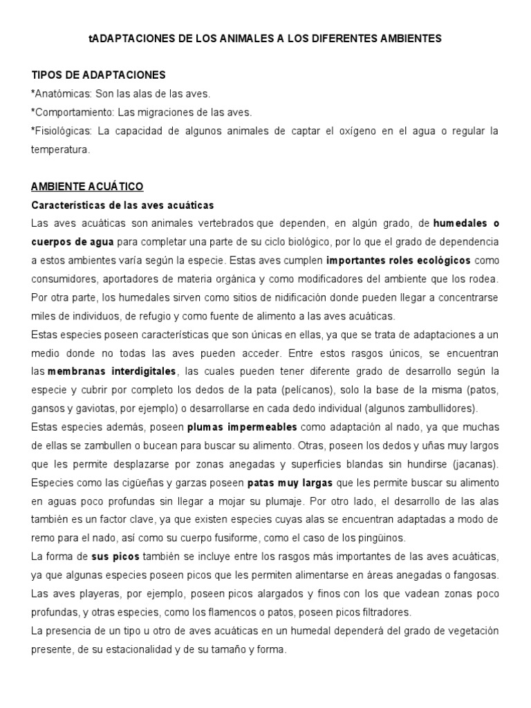 Adaptaciones y Tipos de Aves Acuáticas | PDF | Aves | Adaptación