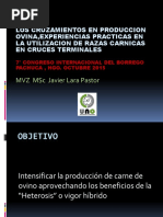 Planilla de Campo Tuberculosis | PDF | Oveja | Vacas