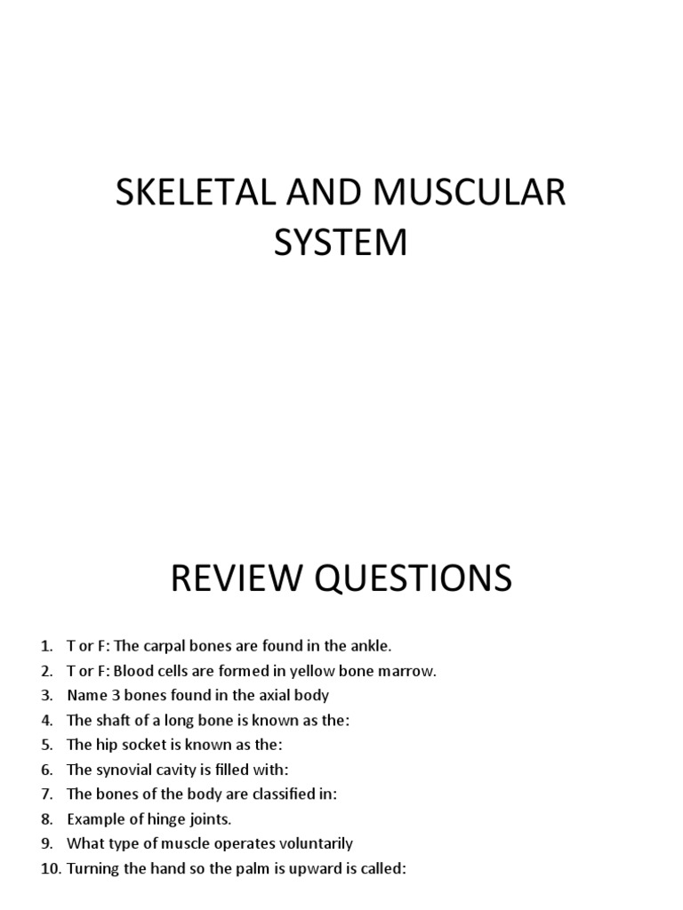 Skeletal and Muscular System | PDF | Knee | Anatomical Terms Of Motion