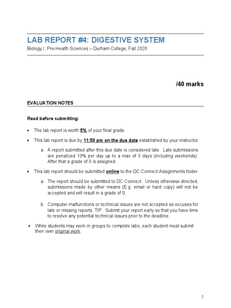 Biol 1700 Lab 4 Procedure Report Final | PDF | Digestion | Bile