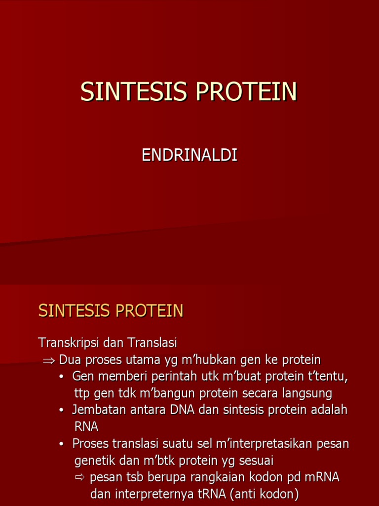 Sintesis Protein | PDF