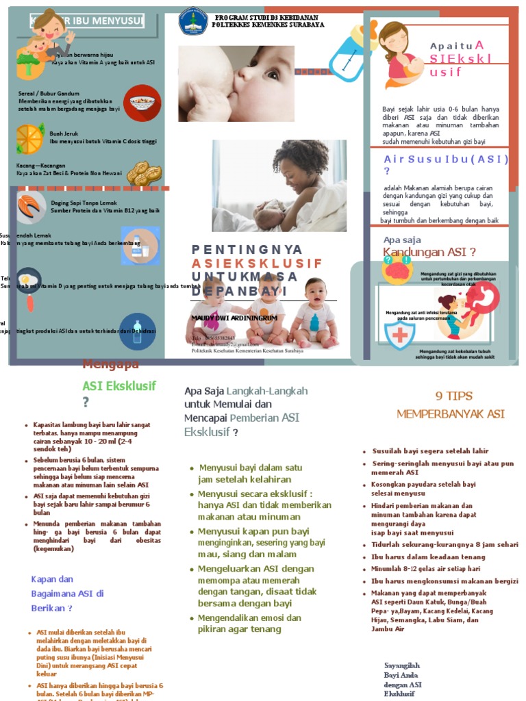 Leaflet ASI Eksklusif | PDF