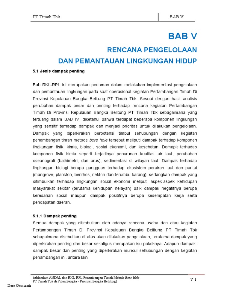 12 BAB V RKL-RPL Dan Matriks | PDF