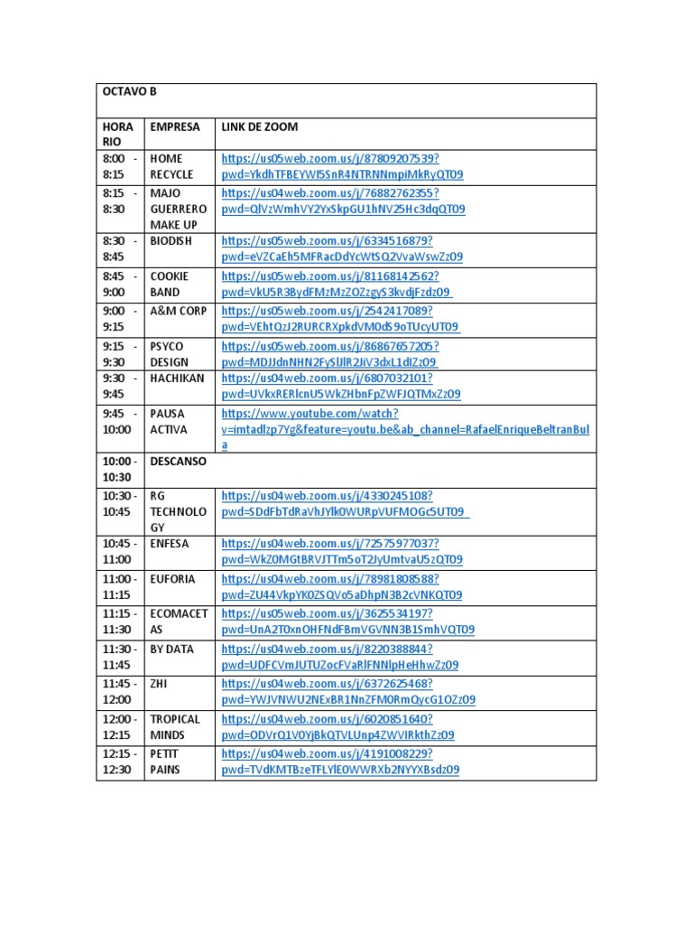 Octavo B Hora RIO Empresa Link de Zoom | PDF