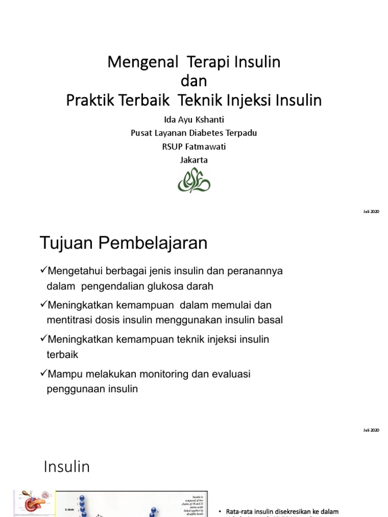 Workshop Mengenal Dasar Terapi Insulin PDF | PDF