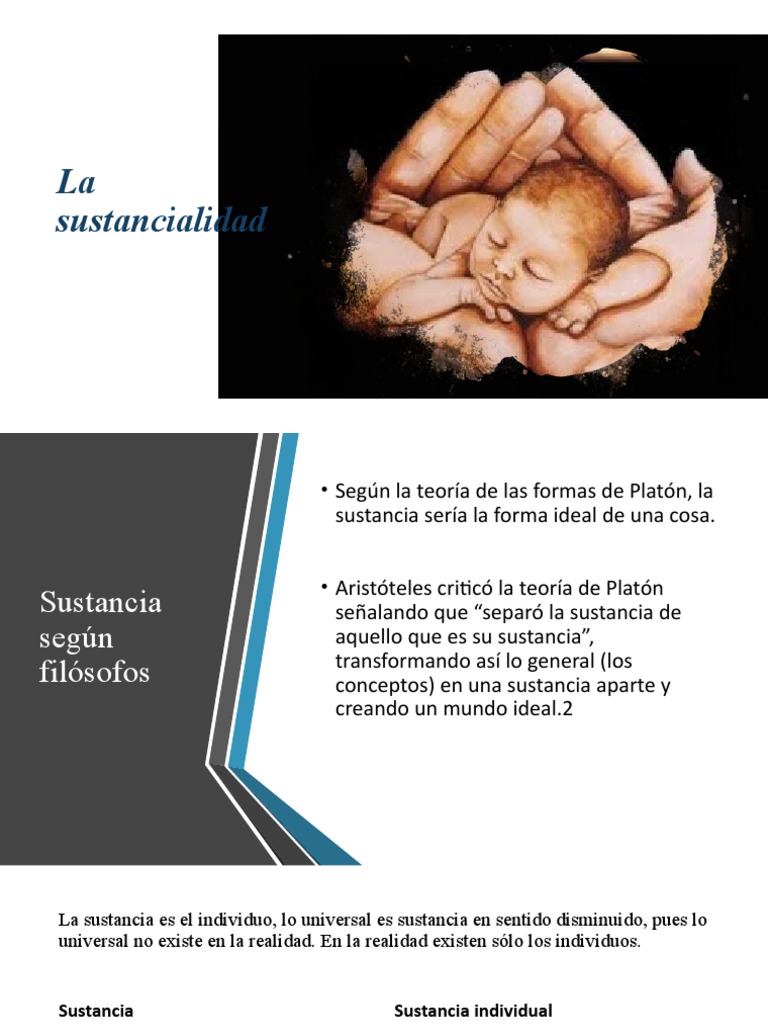 La Sustancialidad | PDF