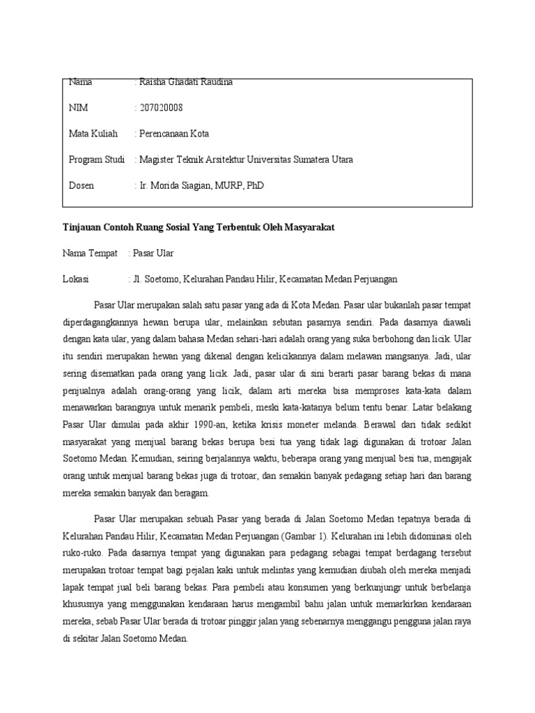 Pasar Ular Medan: Dinamika dan Sejarahnya | PDF | Perjalanan