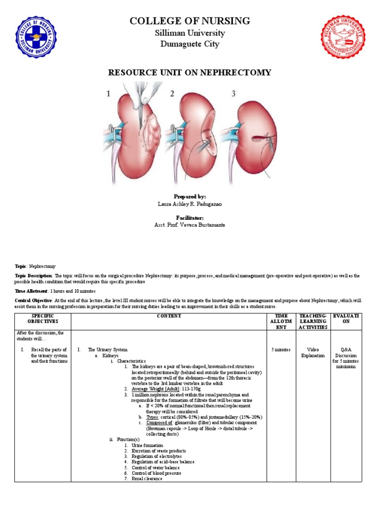 College of Nursing: Resource Unit On Nephrectomy | PDF | Urinary ...