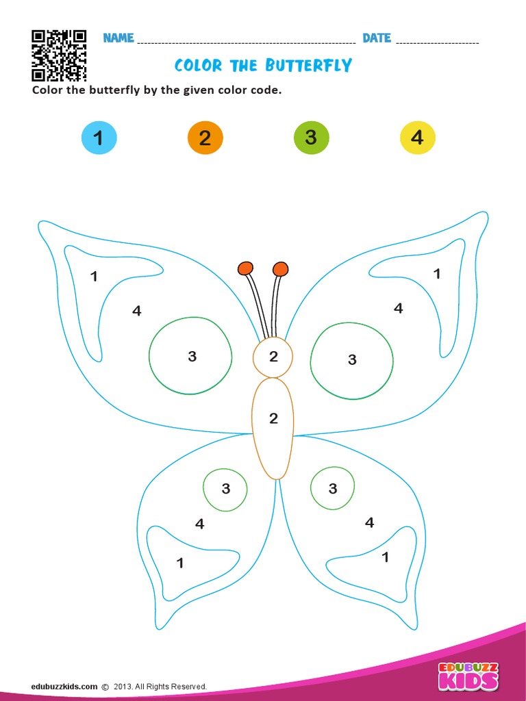 Color the Butterfly Activity Sheet | PDF