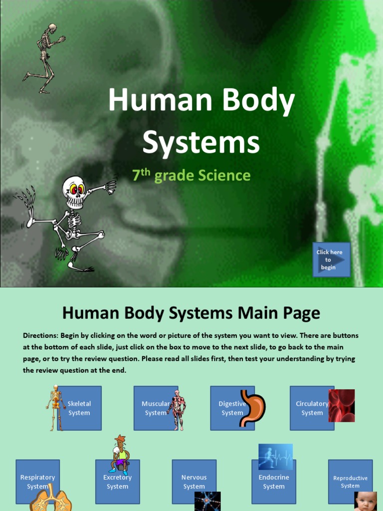 Overview of Human Body Systems for 7th Grade | PDF | Human Body | Lung