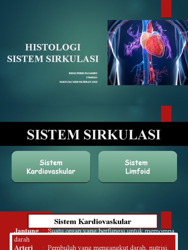Histologi Sistem Sirkulasi | PDF