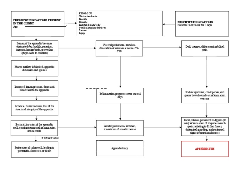 Pathophysiology of Appendicitis | PDF | Peritoneum | Physiology