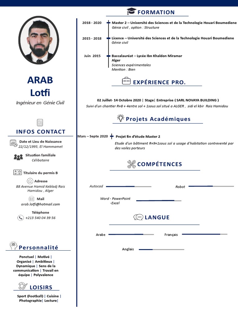 CV Arab Lotfi | PDF