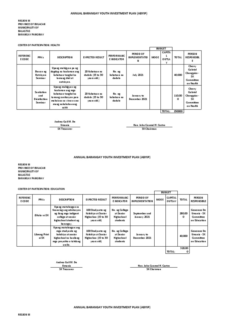 Annual Barangay Youth Investment Plan (Abyip) | PDF | Local Government ...