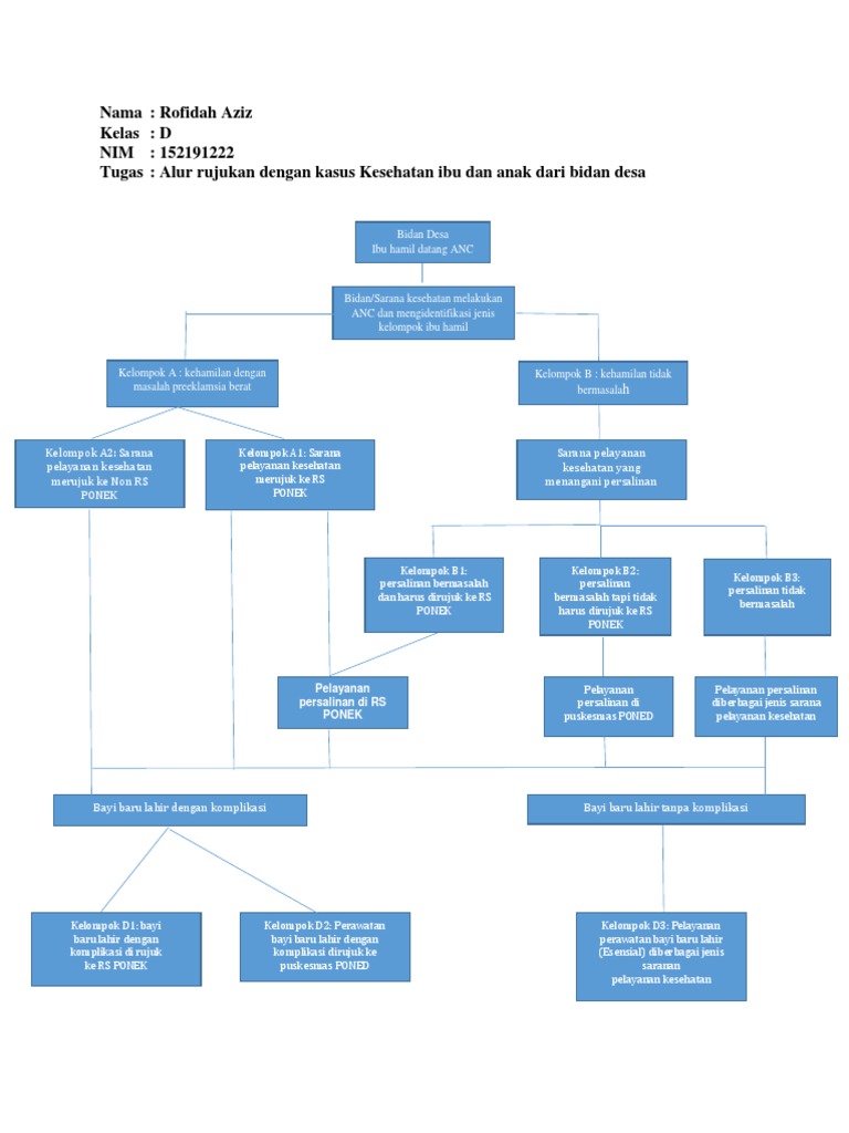 Alur Rujukan Ibu Dan Bayi | PDF