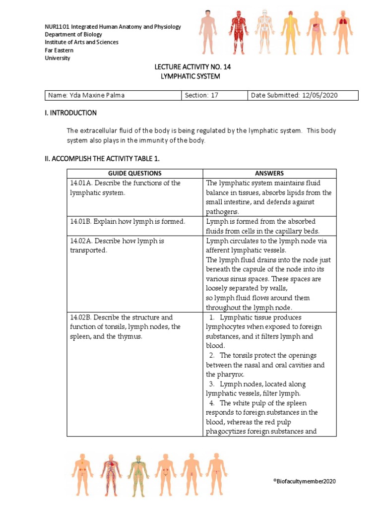 Guide Questions Answers | PDF | Immune System | Lymphatic System
