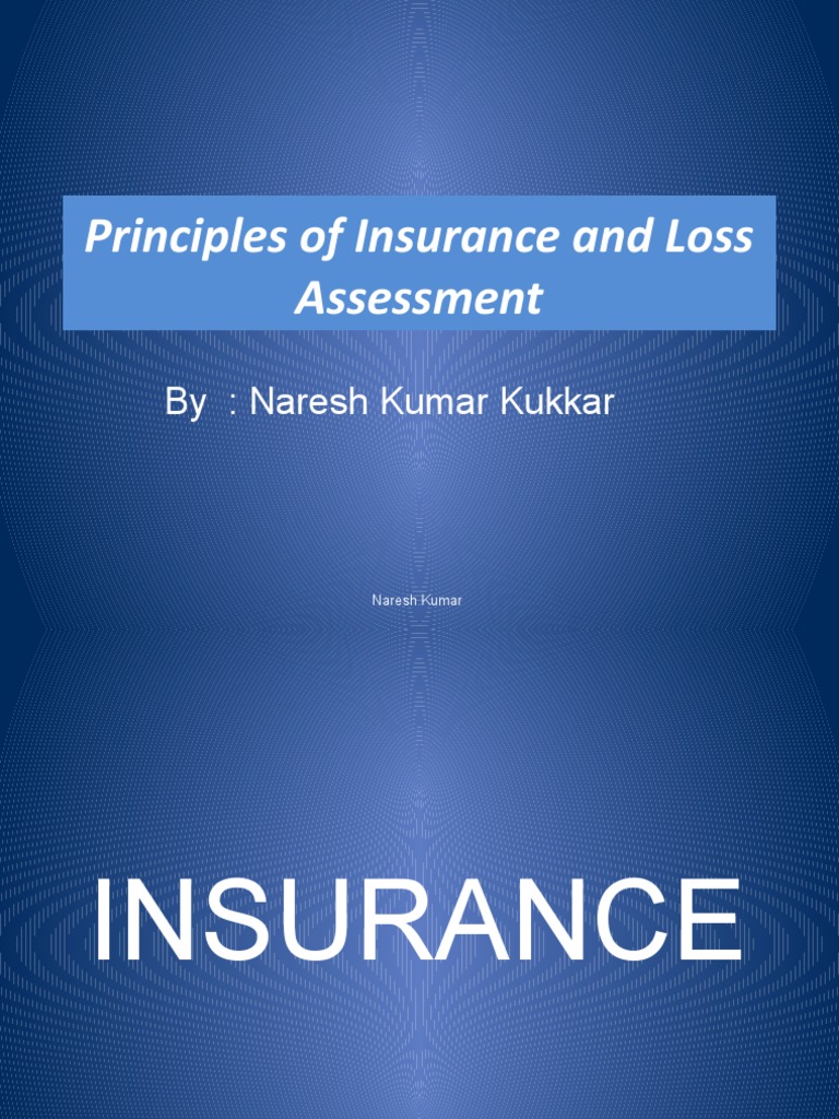9-Principles of Insurance and Loss Assessment | PDF | Property ...