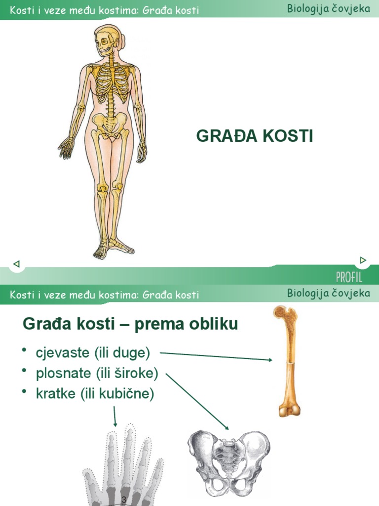 Grada Kosti | PDF