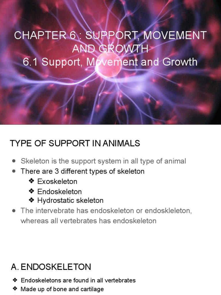 6.1 Support, Movement & Growth | Download Free PDF | Skeleton ...