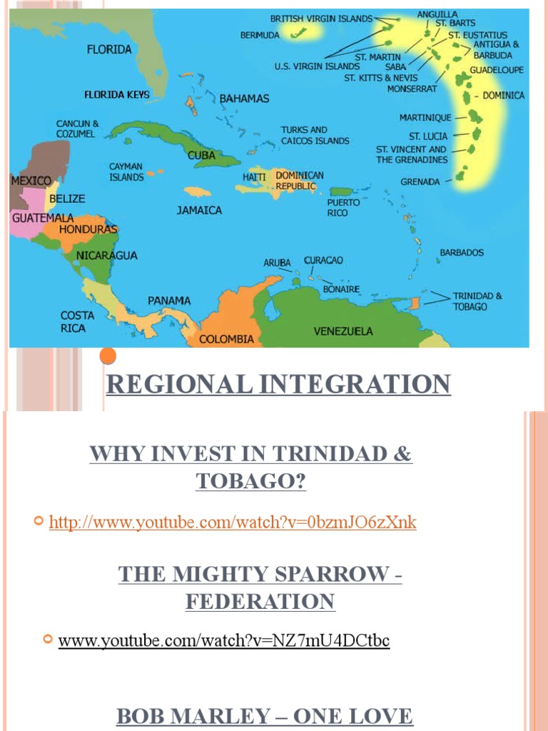 Regional Integration | PDF | Single Market | Regional Integration