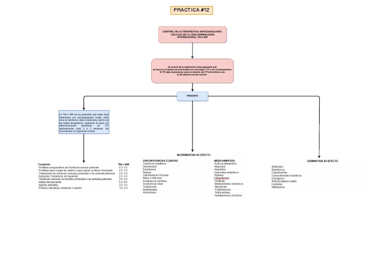 Mapa Mental 12 | PDF