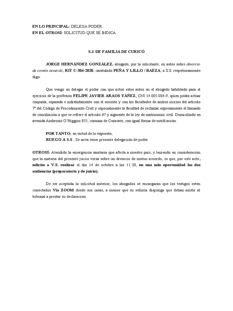 Delega Poder | PDF | Derecho