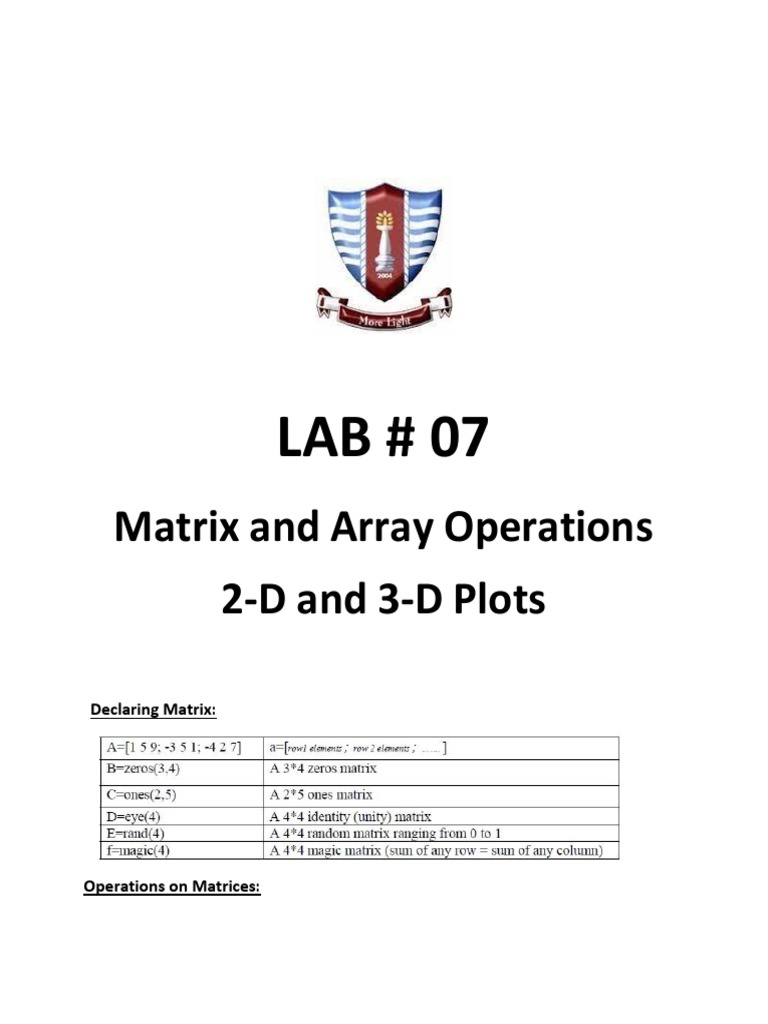 Lab 7 Matlab Pdf Subroutine Parameter Computer Programming