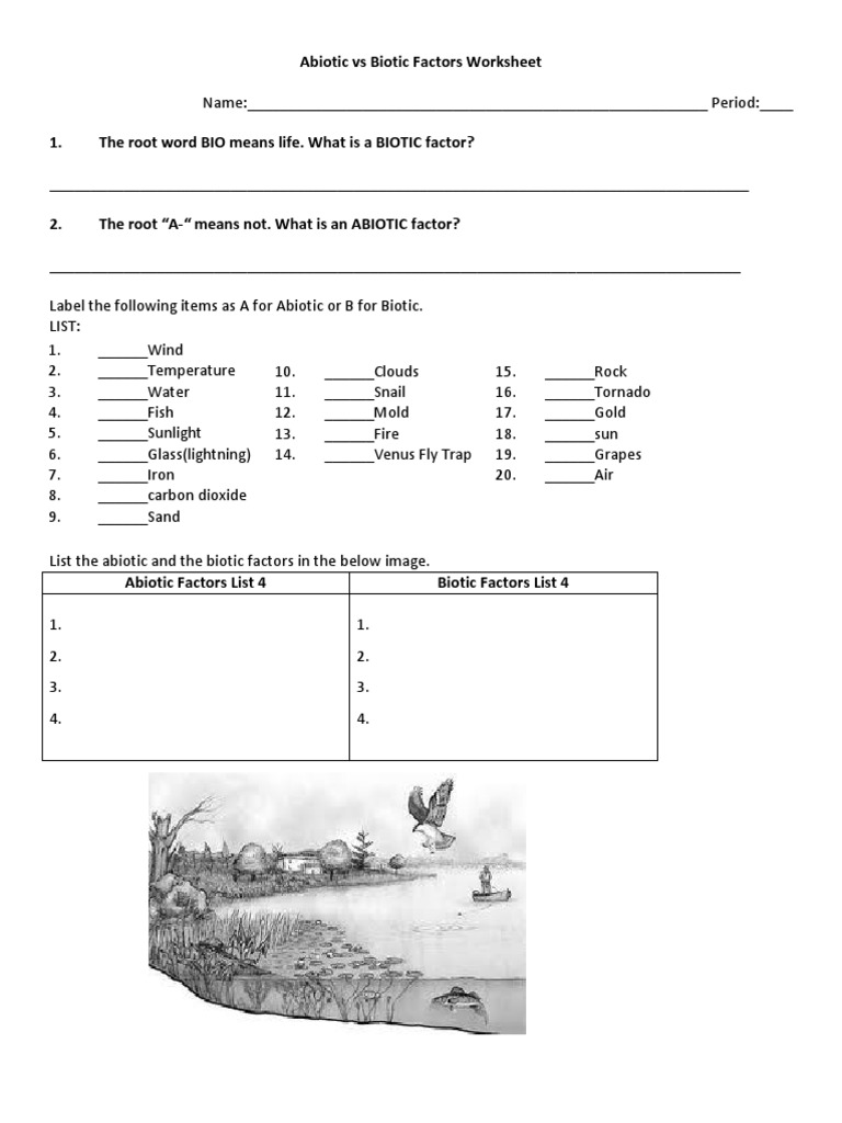 Abiotic-vs-Biotic-Factors Handout PDF | PDF | Ecosystem | Systems Ecology