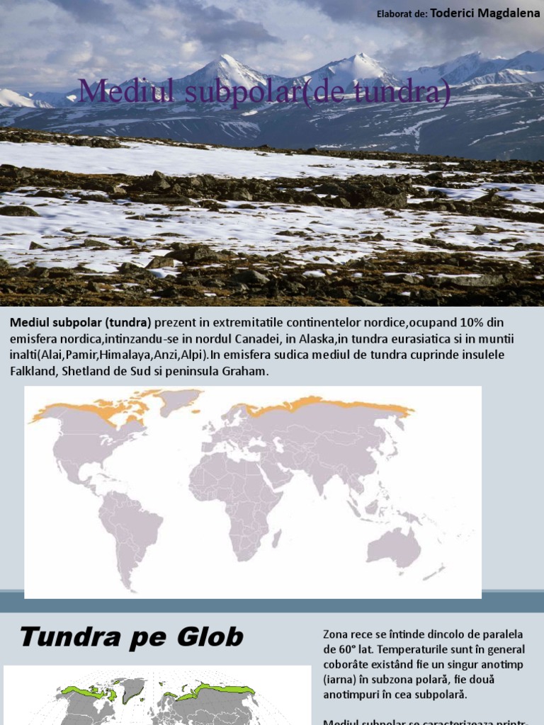 Mediul Subpolar (De Tundra) | PDF